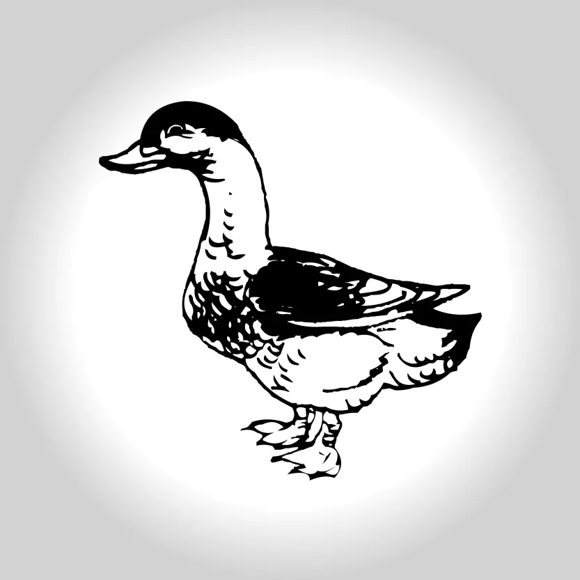 Duck Symbol - Duck Marka - Election Logo Vector