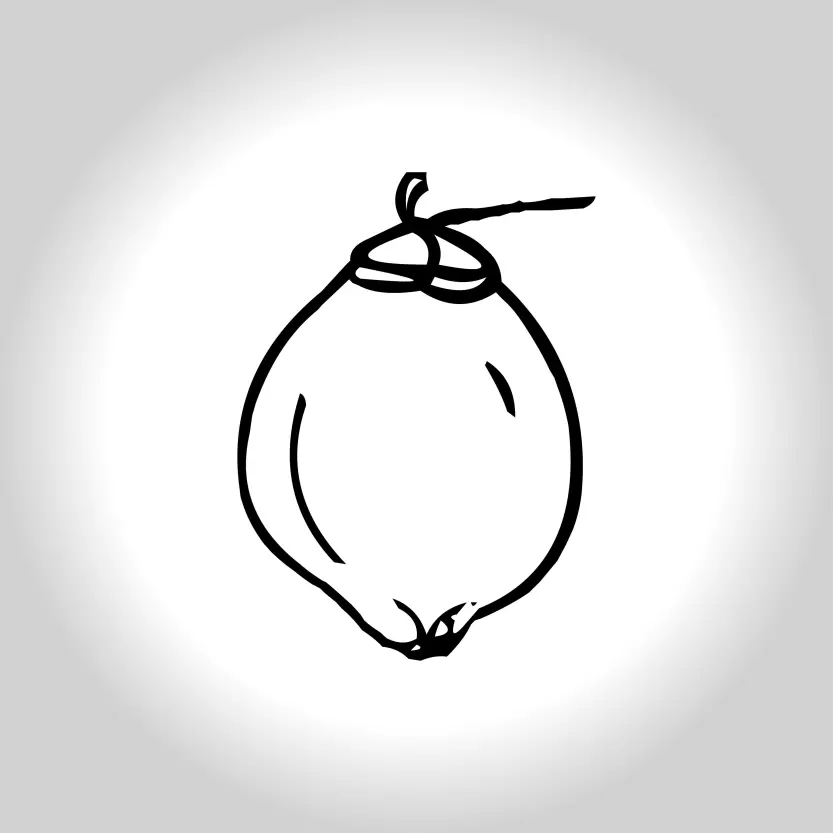 Dub Vectors - Jvectors