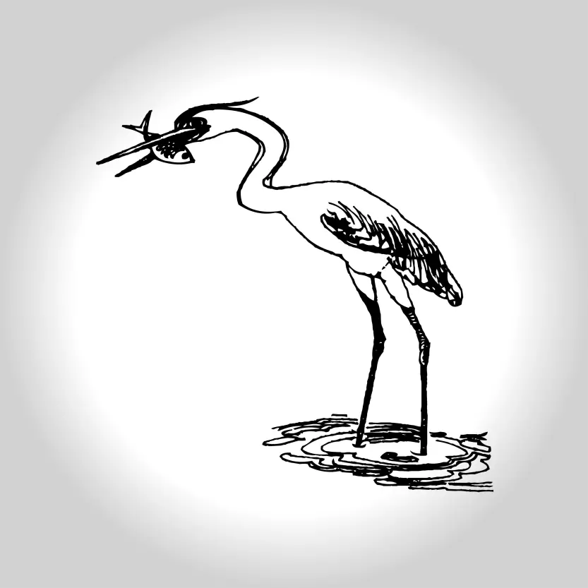 Buck bird symbol Vectors - Jvectors