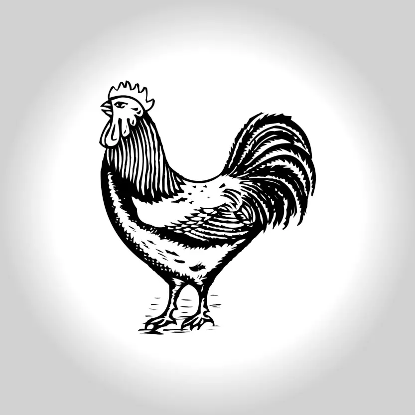 Rooster emblem design Vectors - Jvectors