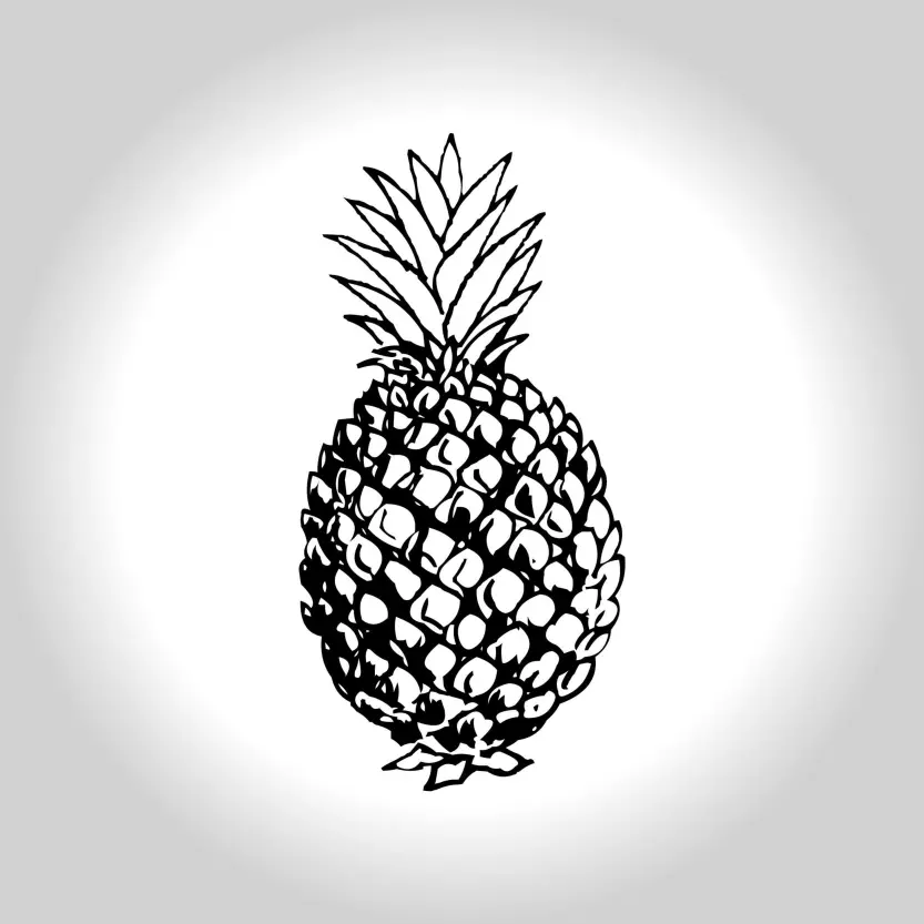 Pineapple Symbol - Anarosh Marka - Election Logo Vector