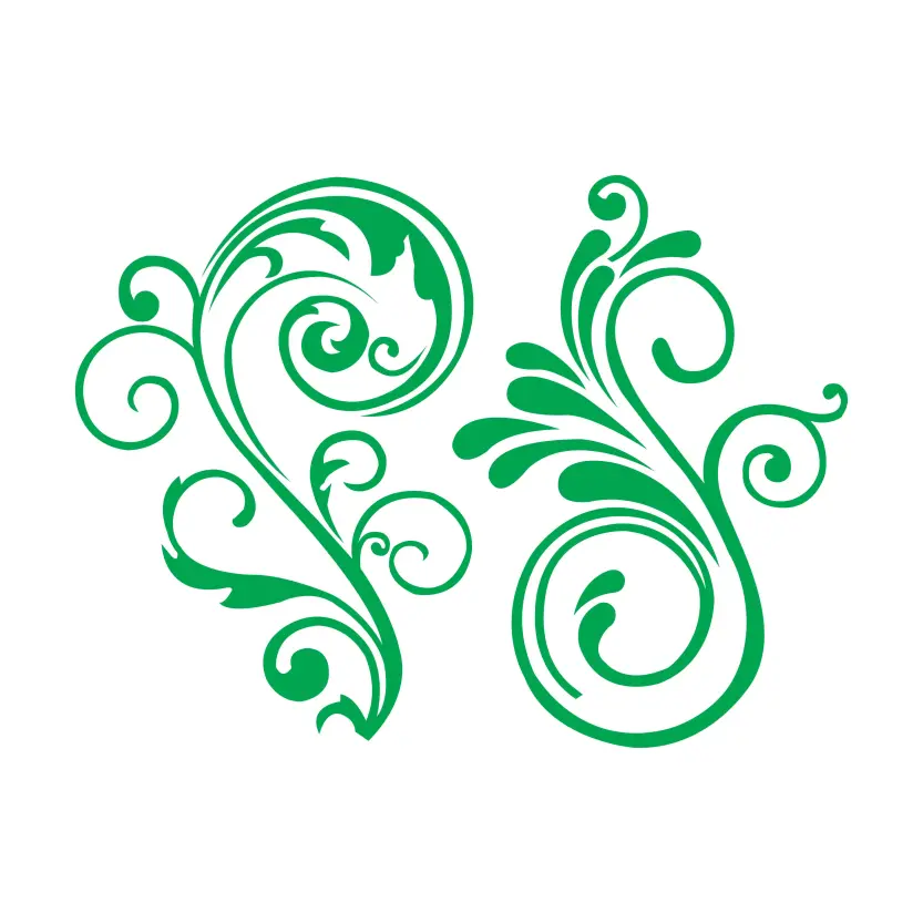 Green Vine Vector Illustration Vector Graphic Alpona Design