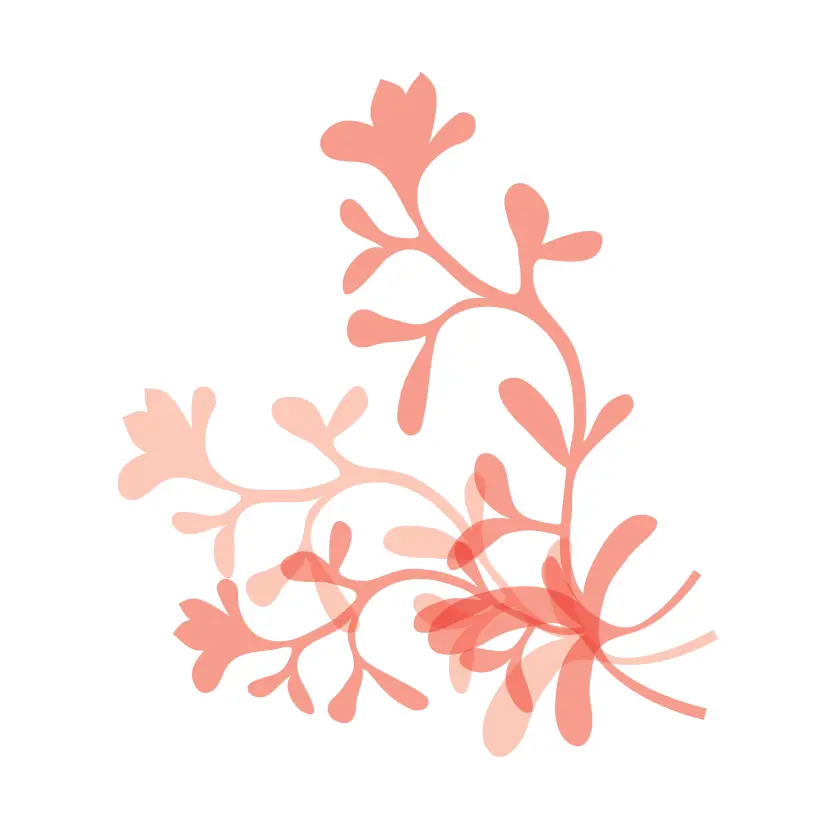 Red coral vector Vectors - Jvectors