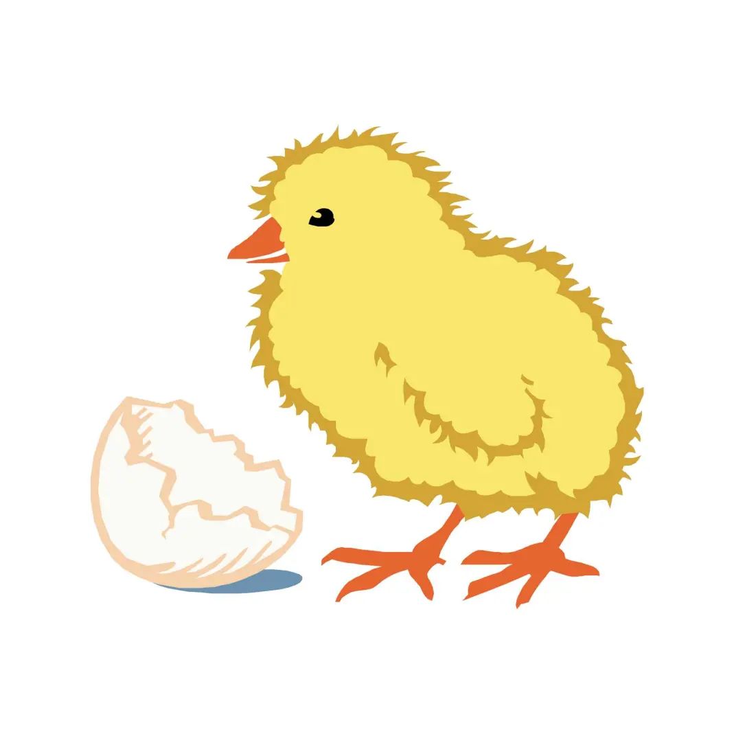 Creative web vector Vectors - Jvectors