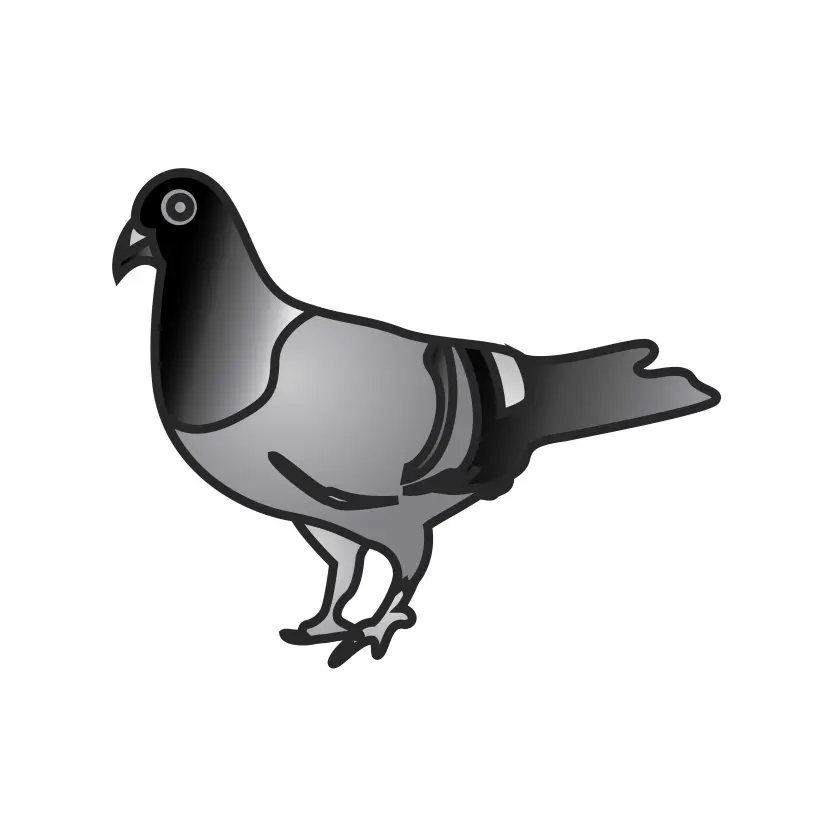 Pigeon Marka or Kabutar Marka for Election Symbol Vector Clipart ...