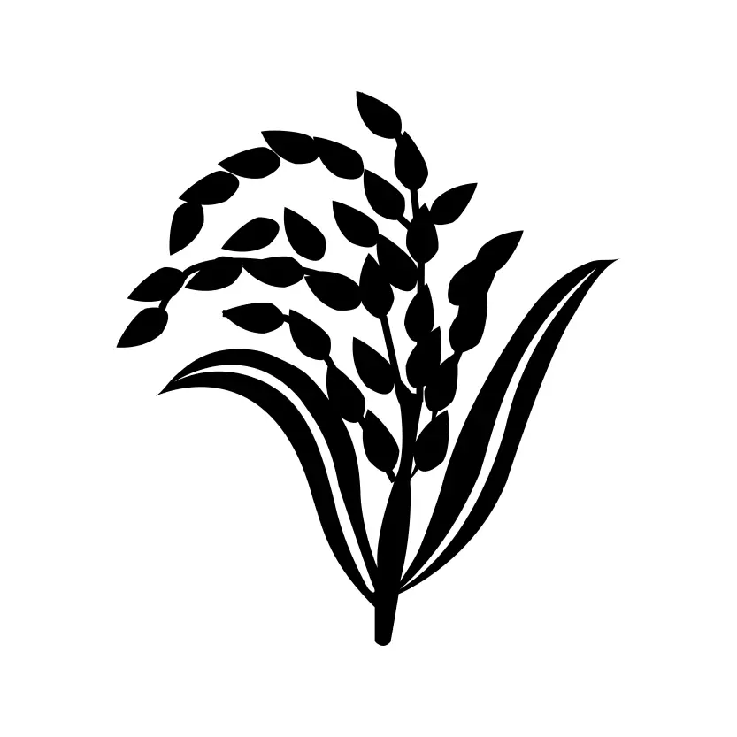 Grain of Rice - Dhaner Shish Marka for Election Symbol Vector Clipart