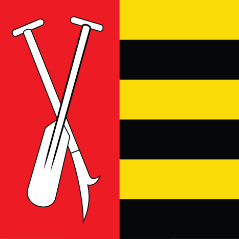 Root flag logo Vectors - Jvectors