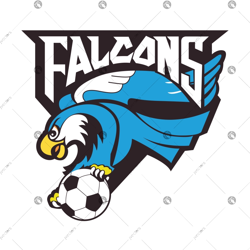 Falcons Logo Vector