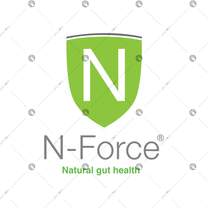 N-Force Logo Vector